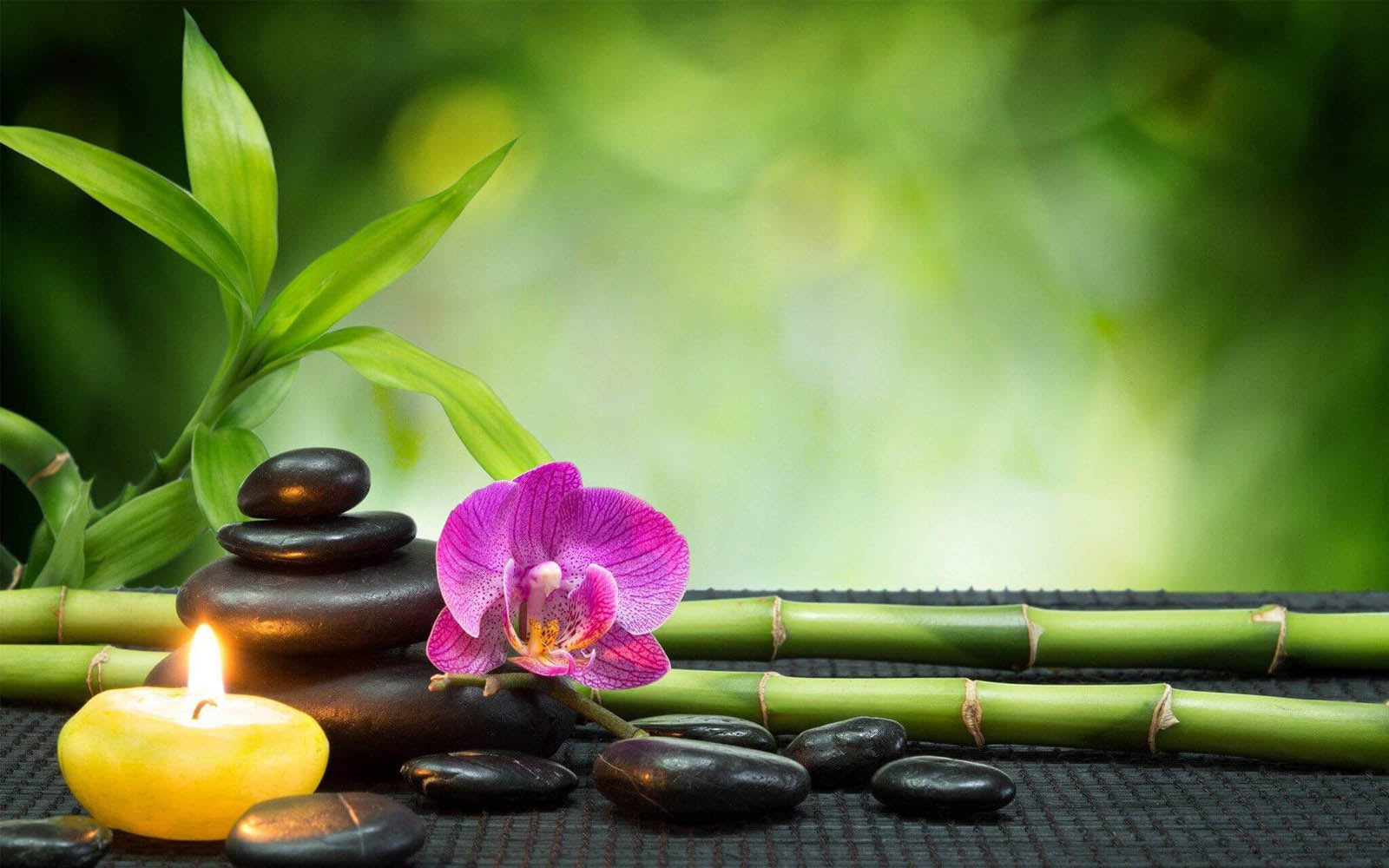 Zen Shop World